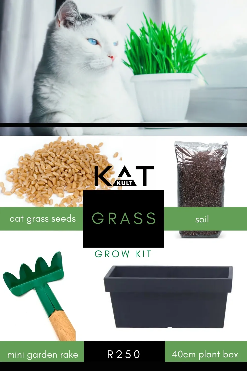 CAT GRASS GROW KIT - Cats of Cape Town